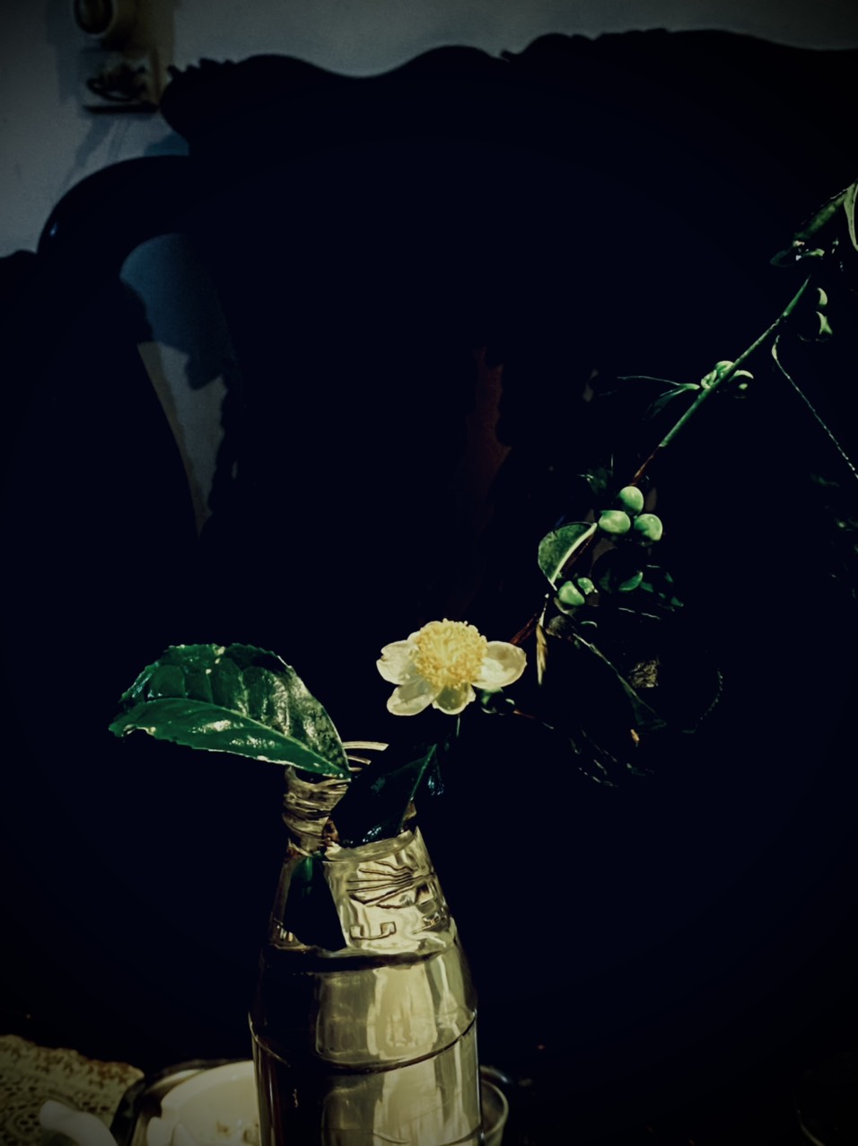 Trung tâm nghiên cứu Trà – Tea R&D Center – Teapedia