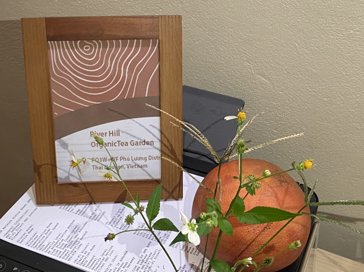 Trung tâm nghiên cứu Trà – Tea R&D Center – Teapedia